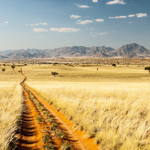 Namibia Tour | 13 - 17 December 2026 – Thrifty Adventures